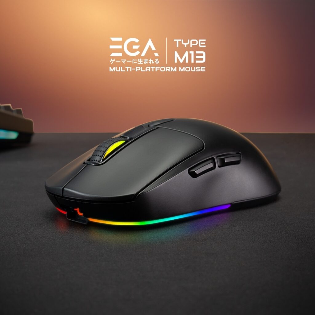 EGA ZONE – BORN TO BE GAMER